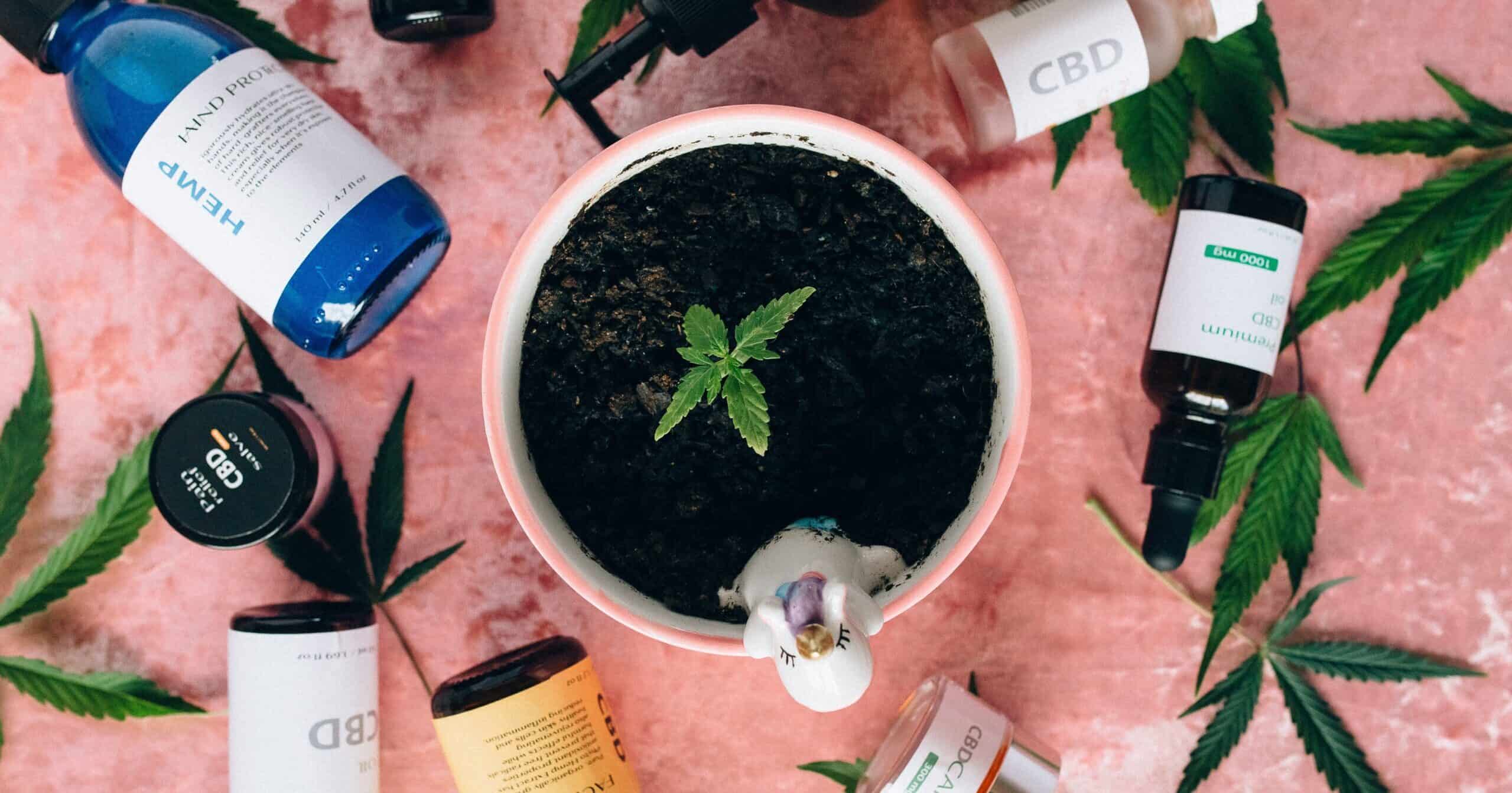 Contact Us - OG Hemp